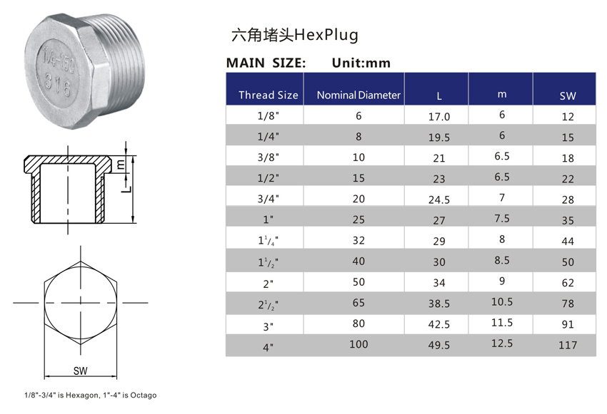 Stainless Steel Hex Plug Pipe Fitting